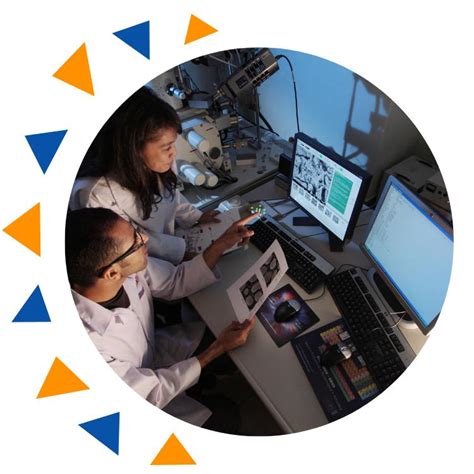 Course Ai And Chatgpt For Microbial Genome Analysis Updated 2025