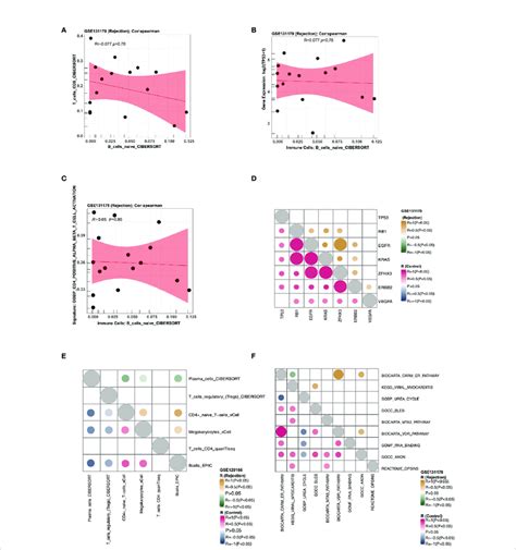 An Example Of The Correlation Analysis Tab A The Correlation Download Scientific Diagram