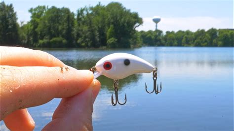 Tiny Lure Challenge Ep 1 Mini Crankbait Youtube