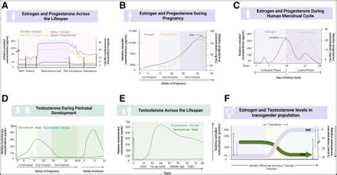 Sex Hormone Signaling And Regulation Of Immune Function Immunity