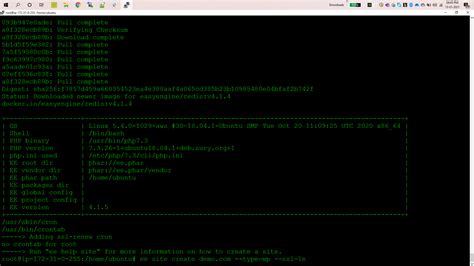 How To Install Easyengine On Linux 2021 Praful Bhuskute
