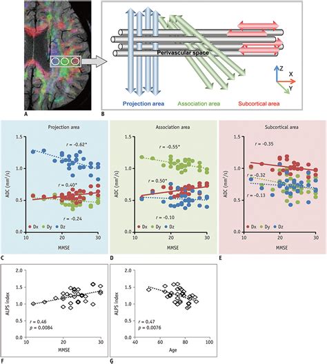 Neurofluid Dynamics And The Glymphatic System A Neuroimaging Perspective
