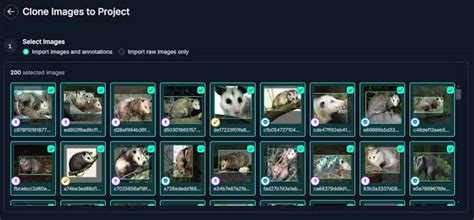 Raspberry Pi Hackaday