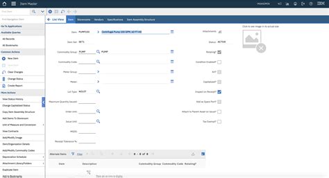 Item Master Maximo Secrets
