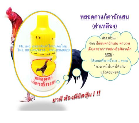หยอดแก้ตาอักเสบ ฝาเหลือง รักษา ไก่ตาอักเสบ ไก่ตาบวม ฝีดาษไก่ กุสุมา Line Shopping