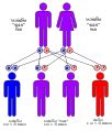 Categoryglycogen Storage Disease Type I Wikimedia Commons