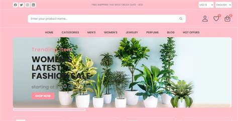 Nure Alam On Linkedin If Anyone Web Developer Wants You Can Knock Me