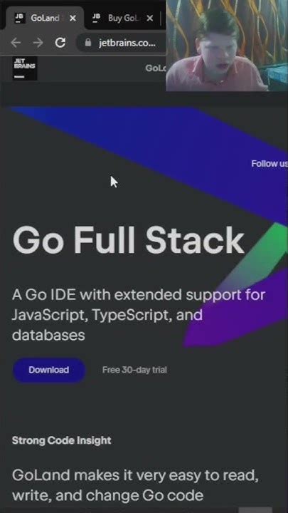 Top 3 Idetext Editor For Go Golang Golandvscode Coding