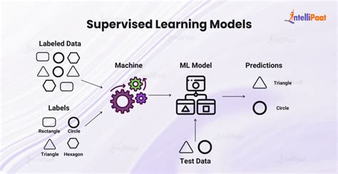 What are Machine Learning Models? Definition, Types and How to Build