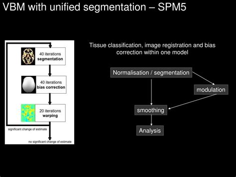 Ppt Voxel Based Morphometry Powerpoint Presentation Free Download Id1224497