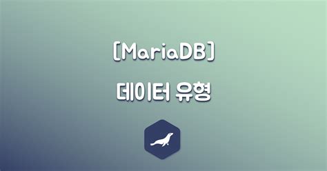 Mariadb 데이터 유형