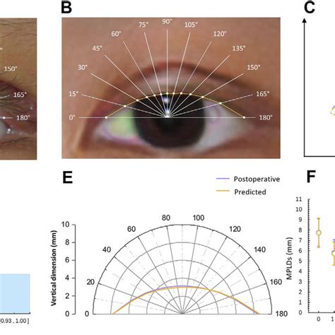 Demonstration Of The Objective Assessment Of The Predicted Performance Download Scientific