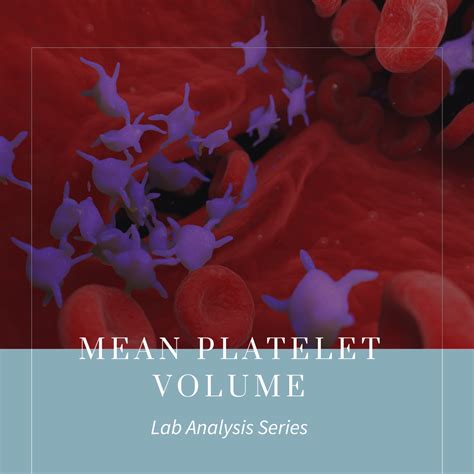Mean Platelet Volume What Highs And Lows Mean In Pregnancy Sarah