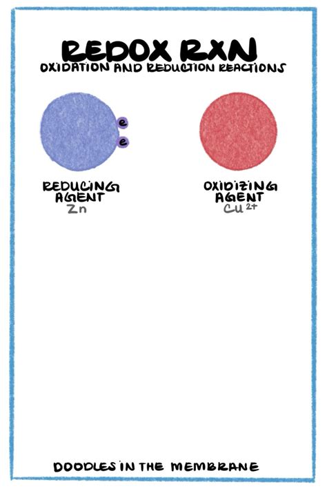 Oxidation And Reduction Redox Reaction Animation General Chemistry Doodles In The Membrane Artofit Oxidation And Reduction Redox Reaction Animation General Chemistry Doodles In The Membrane Artofit