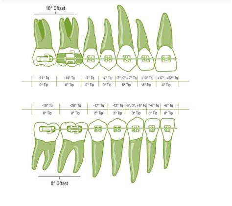 Dr Kim Page 2 Wow Orthodontic