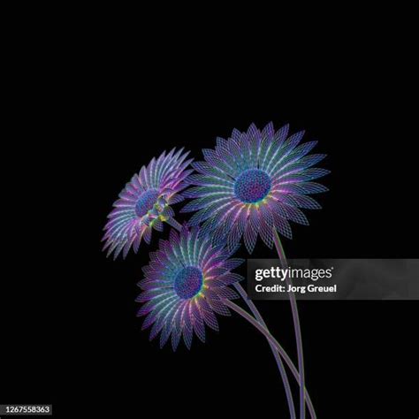 Polygon Flower Photos And Premium High Res Pictures Getty Images
