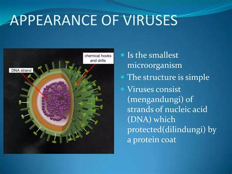 11 Classification Of Microbes Pptx Biological Sciences Science 11 Classification Of Microbes Pptx Biological Sciences Science