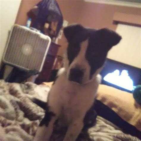 Treeva Austin Youtube