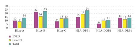 Numbers Of Hla A Hla B Hla C Hla Dpb1 Hla Dqb1 And Hla Drb1 Allele Download Scientific