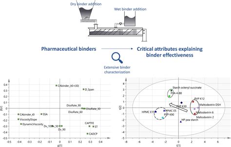 Influence Of Binder Attributes On Binder Effectiveness In A Continuous Twin Screw Wet