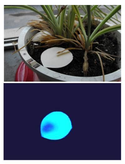 New Chemical Sensor Makes Finding Landmines And Buried Ieds Easier Science Codex