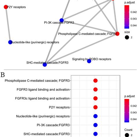Interaction Of Metabolic Pathways The Most Significant Metabolic Download Scientific Diagram
