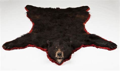 284 Vintage Brown Bear Skin Rug