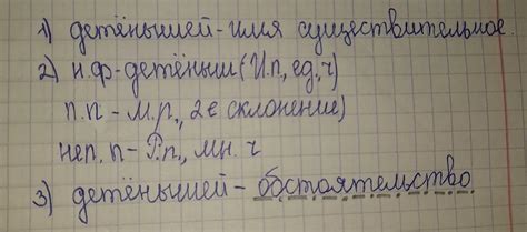 Морфологический разбор на слово детёнышей Школьные Знания Com
