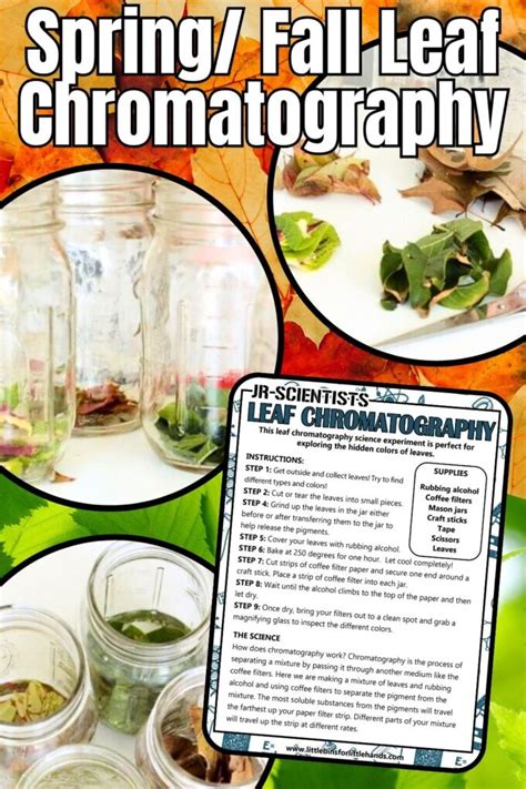 Chromatography Experiment