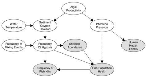 Neuse Estuary Bayesian Ecological Response Model Neu Bern This Bbn Download Scientific