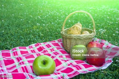 화창한 날에 여름 피크닉 공원의 잔디에 붉은 체크 천에 크루아상과 사과와 고리버들 바구니 텍스트용 오피 공간 선택적 초점 0명에 대한 스톡 사진 및 기타 이미지 Istock