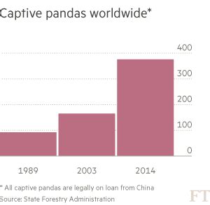 Chinas Wild Panda Population Rebounds Financial Times