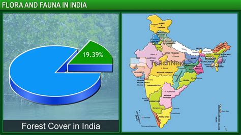 Flora In India Map At Frederick Rosas Blog