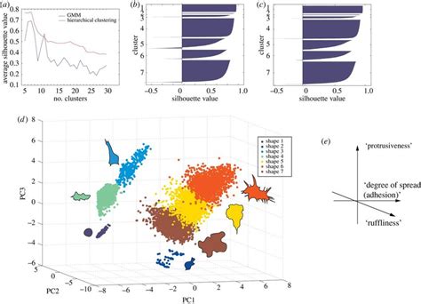Single Cell Clustering A Average Silhouette Value For Different Download Scientific Diagram