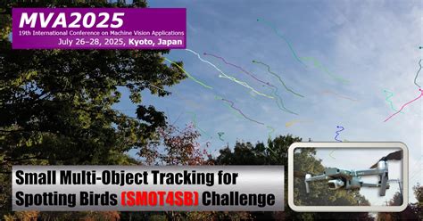 Small Multi Object Tracking For Spotting Birds SMOT SB Challenge MVA