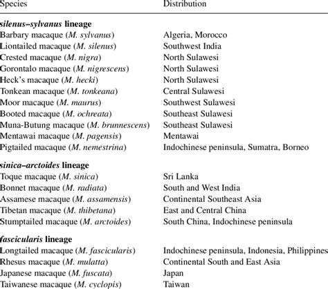 Species Phyletic Lineages And Geographic Distribution Of The Genus