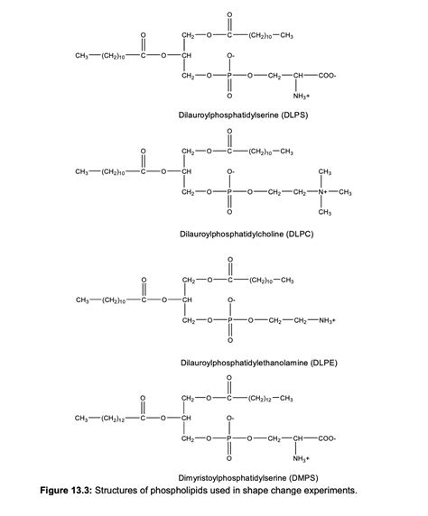 Please Answer Questions 1 6 Case 13 A “flippase”