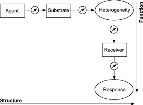 The Transformation Of Heterogeneity In Social Ecological Systems Download Scientific Diagram
