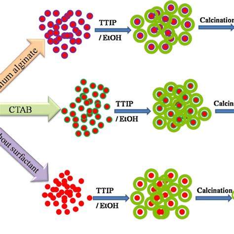 Schematic Representation Of Formation Of Ag Tio2 Core Shell Download Scientific Diagram
