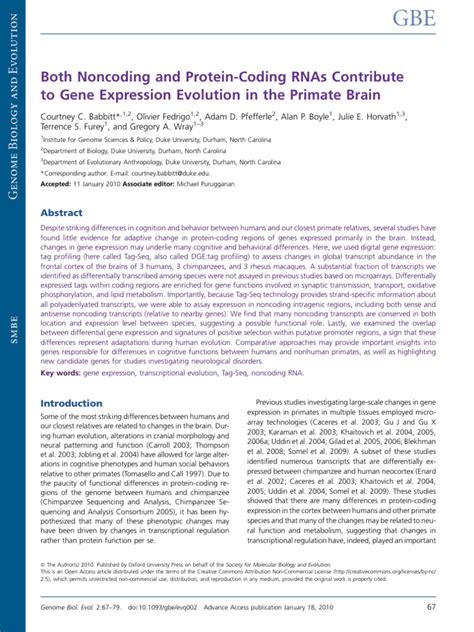 Babbitt Et Al 2010 Both Noncoding And Protein Coding Rnas