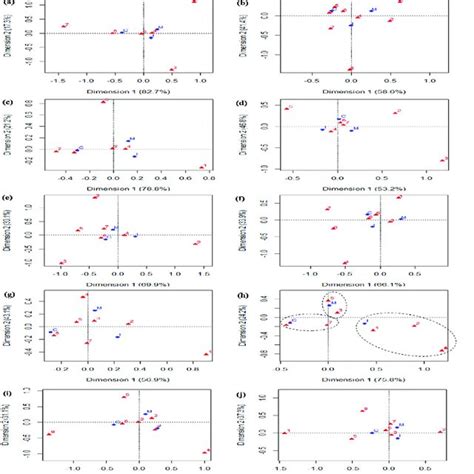 Distributional Variations Of The Nine Fingerprint Patterns [plain Arch Download Scientific