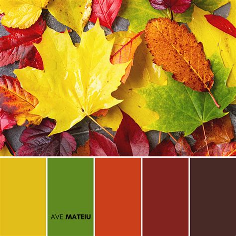 Seasonal Color Palette Autumn At Rachel Shortland Blog
