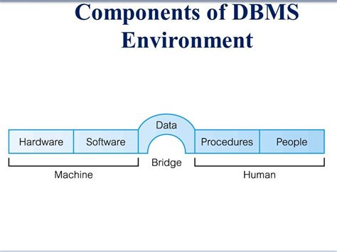 Components Of Dbms Environment The Database System Consists Of Many By Sonali Mangavkar Medium
