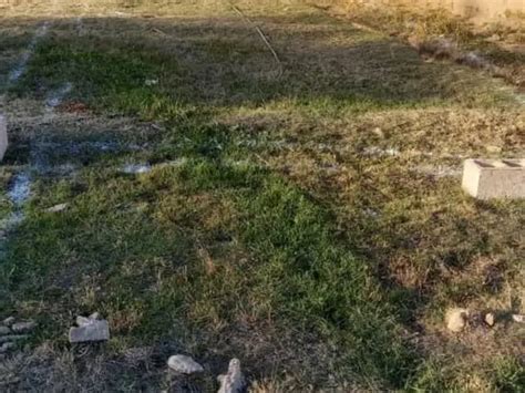 طالبان در فراه با هزینه دو میلیون افغانی، یک مدرسه دینی می‌سازد