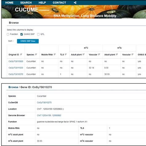The Browse Module Detailed Gene Annotation Page And Genome Browser