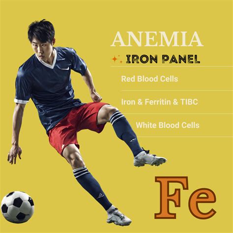 Iron Panel Athlete Blood Test