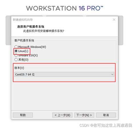 vmware 安装 银河麒麟高级服务器操作系统 v10 版本教程 vmware安装麒麟v10 csdn博客