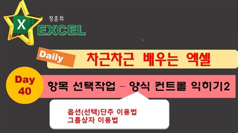 매일매일 천천히 배우는 엑셀 Day40 항목선택작업 양식 컨트롤 익히기2 옵션 선택 단추 그룹 상자 이용하기 Youtube