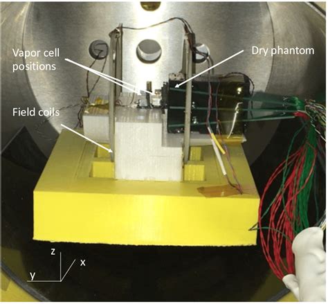 Phantom Experiment Setup Download Scientific Diagram