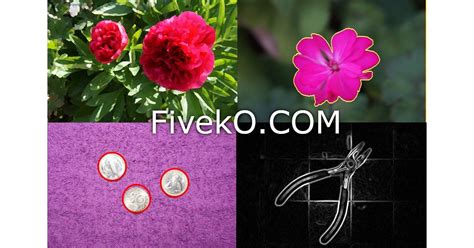 Hough Transform Basic Shape Detection Fiveko Artofit